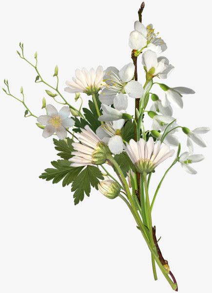 花束PNG图片素材下载 花束PNG 熊猫办公