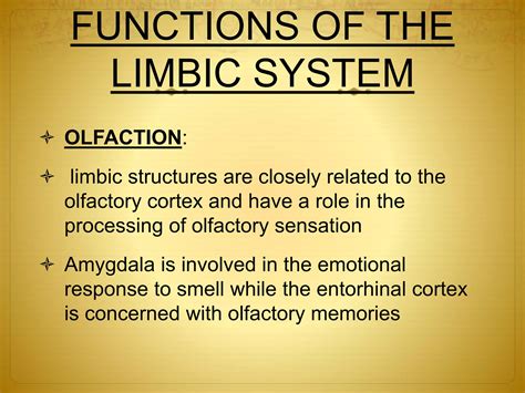 Limbic System Pptx