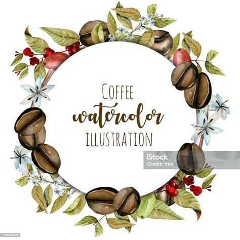 화환 수채화 커피 가지에서 원 프레임 성숙의 다른 단계에서 꽃과 콩 흰색 배경에 고립 된 손으로 그린 커피에 대한 스톡 벡터