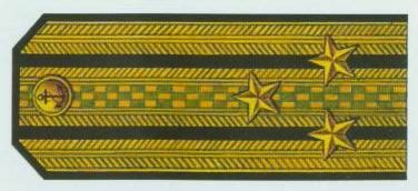 Погоны ВС РФ | lemur59.ru