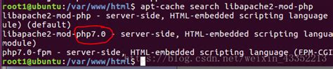 Linux Ubuntu下配置apache和php项目ubuntu Php Apache Ifmodule 配置 Csdn博客