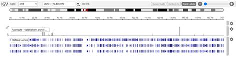 BW Tracks Not Showing Issue 1273 Igvteam Igv Js GitHub