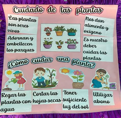 La Gran Importancia De Las Plantas Todas Las Razones En 2025
