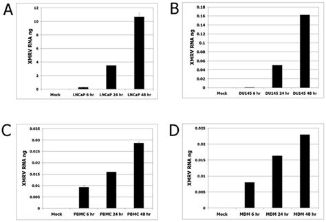 Quantitative Pcr Analysis Of Xmrv Infection Total Mrna From A Lncap