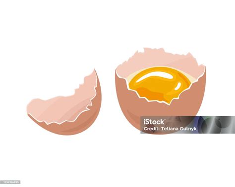 흰색 배경에 고립 된 껍질에 깨진 닭 계란과 노란색 달걀 노른자 만화 플랫 스타일에서 갈색 계란의 금이 반쪽의 벡터 그림입니다