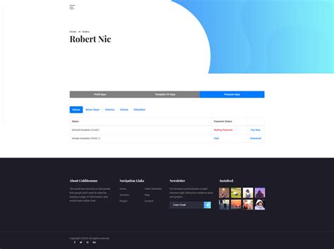Resume Templates Cv Irando