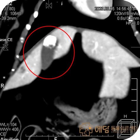 24시예담동물의료센터