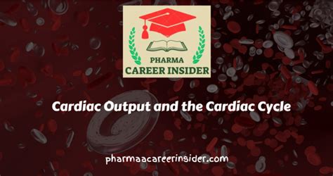 Cardiac Output And The Cardiac Cycle
