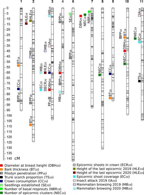 The Genomic Distribution Of Quantitative Trait Loci Qtl Associated Download Scientific