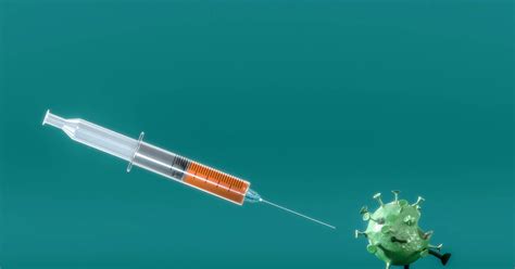 Picornavirus Like Particle Vaccines What Are These And How These Are Developed