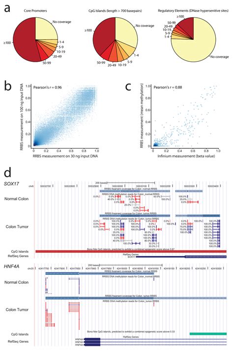 Optimizing Bisulfite Sequencing For Genome Scale Profiling Of Human Download Scientific Diagram