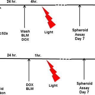 Overview Of Two PCI Experimental Protocols A Conventional Protocol Download Scientific