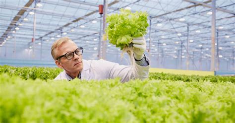 산업 온실의 농장에서 상추를 조사하는 성숙한 과학자의 초상화 복사 공간 사진 Unsplash의 온실 이미지