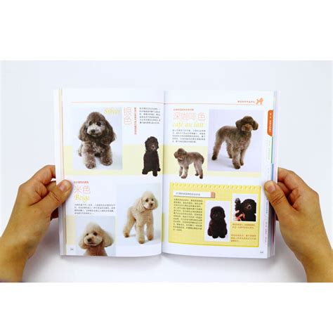 贵宾犬和爱犬一起生活实用版狗狗喂养技巧手册贵宾泰迪喂养训练疾病护理知识大全家庭宠物营养护理百科大全狗狗训练的教程书 虎窝淘