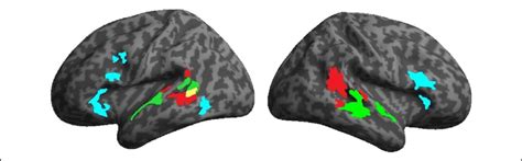 Parametric Modulation Results For The Opaque Word Sets A Semantic