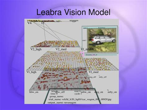 Ppt The Leabra Object Recognition Model Powerpoint Presentation Free Download Id 7087358