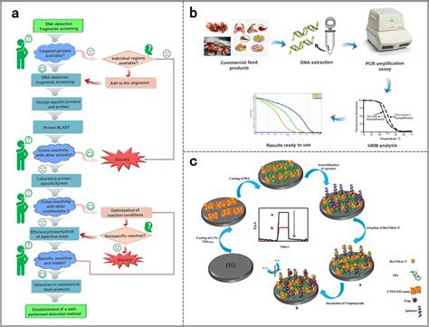 A Workflow To Identify And Choose Suitable Dna Markers For The Download Scientific Diagram