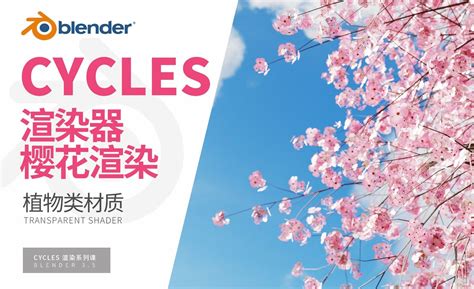 Blender 樱花植物类材质渲染 Cycles渲染器系列 Blender教程教程 Blender 3 5 1 虎课网