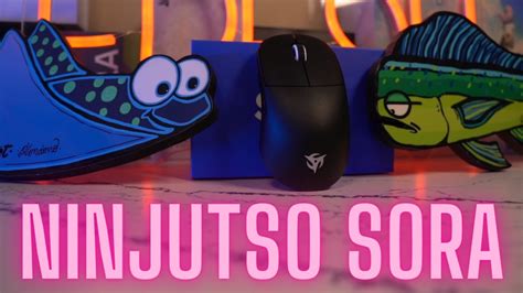 Ninjutso Sora Review - YouTube