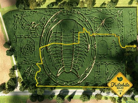 The Craziest Corn Mazes Across The U S Vivid Maps