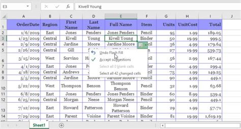 How To Use Flash Fill In Excel