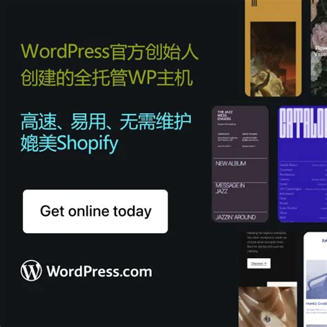 给wordpress网站添加自定义js javascript 的2种方法 青松跨境b2c
