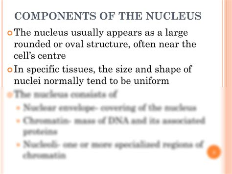 Solution Cell Nucleus And Cell Cycle Studypool