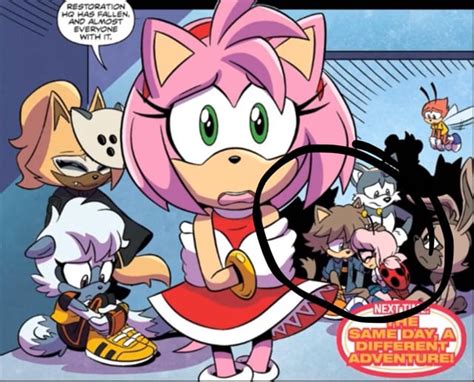 Spoiler For Sonic Idw Comic 21ladybug And Adrien From Miraculous On