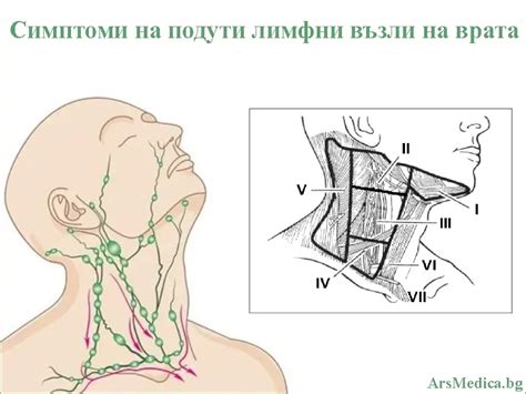 Протромбиново време Pt Arsmedica Bg