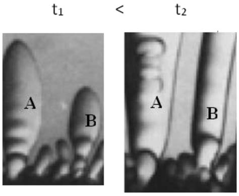 Crystals Free Full Text Comparison Of Dynamical And Empirical Simulation Methods Of