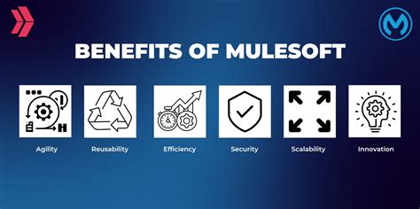 Salesforce Mulesoft A Comprehensive Guide