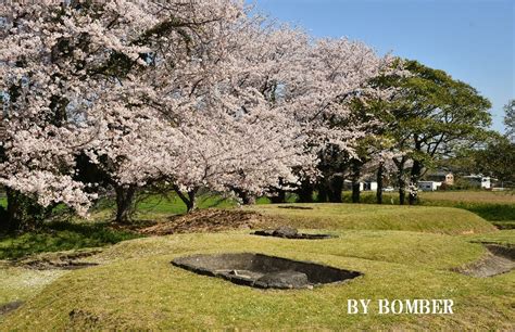 風土記の丘 桜 2023 自然に癒されて