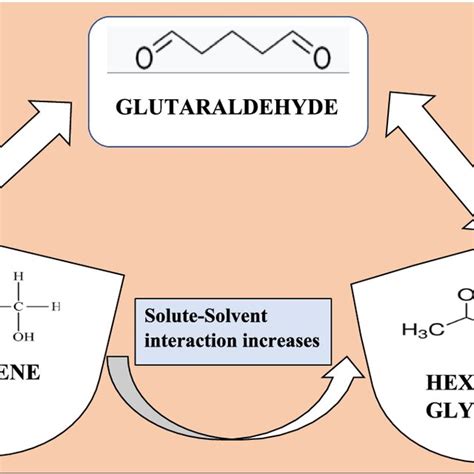Hg Pg And Glutaraldehyde Interactions Download Scientific Diagram