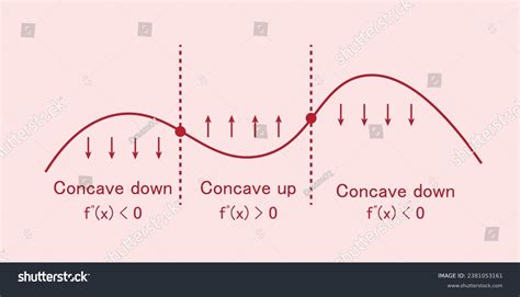 Concave Concave Down Concavity Function Inflection Stock Vector