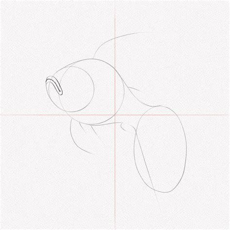 How To Draw A Fish A Step By Step Tutorial Artlex