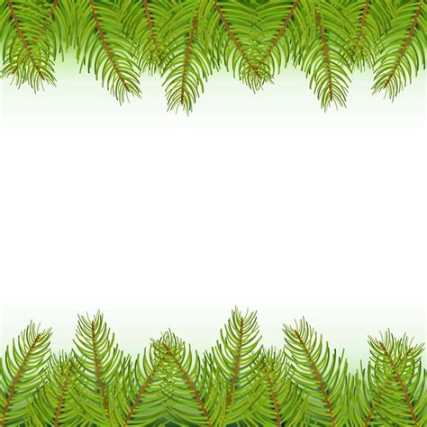 Premium Vector Realistic Christmas Tree Fir Branch Frame For Decorate Vector Illustration