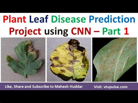 Machine Learning Projects Video Tutorial