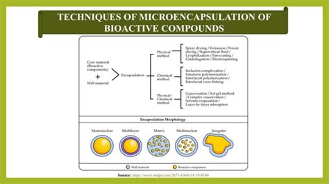 Micro Encapsulation As A Noble Technique For Application Of Bio Active Compounds In The Food