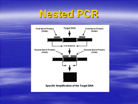 Ppt Hierarchical Dna Memory Based On Nested Pcr Powerpoint