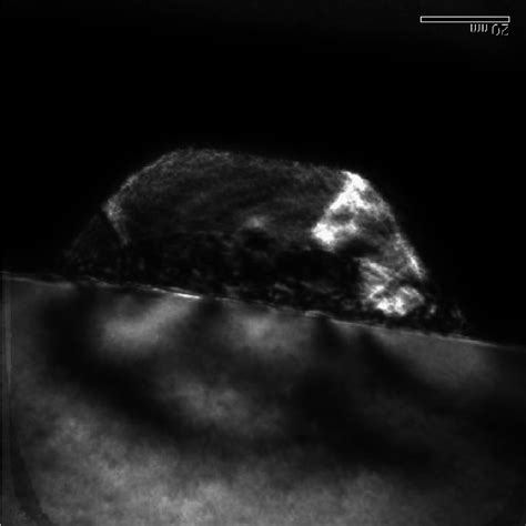 Cross Sectional Transmission Electron Micrograph Of A Large Hequad