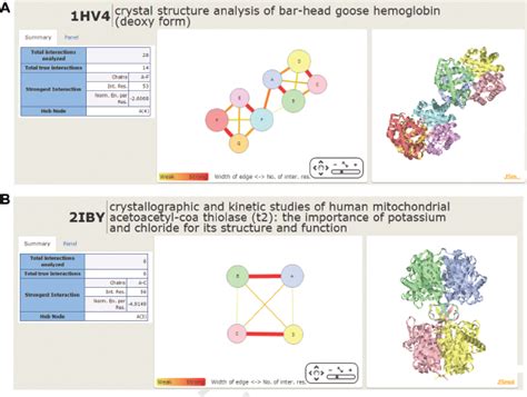 Symmetry Of Interaction Pattern Download Scientific Diagram