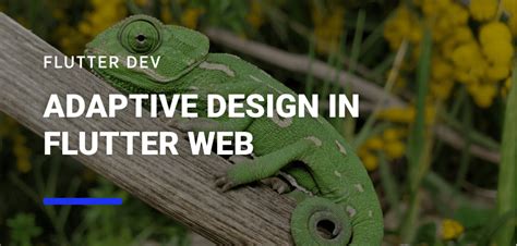 Adaptive Design In Flutter Web Gonçalo Palma