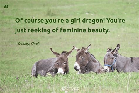 Donkey Character Quotes