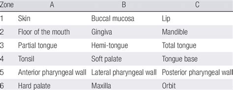 Head And Neck Defect Zonal Classification Download Scientific Diagram