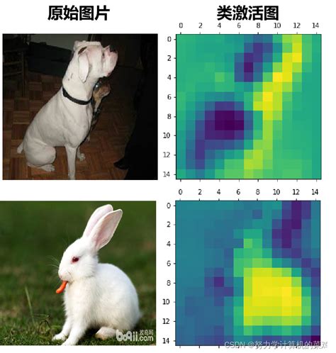 卷积神经网络构建，新图片预测与类激活图——提高cnn模型的可解释性激活图 Cnn Cam Csdn博客