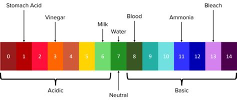 Acids And Bases Questions And Revision Mme