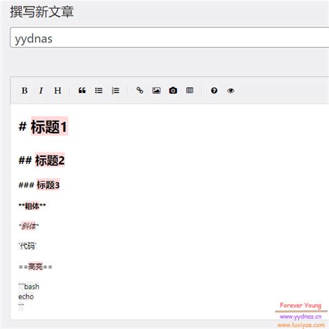 推荐几款适用于wordpress的markdown插件 Forever Study