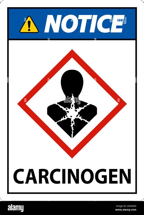 Notice Carcinogen Ghs Sign On White Background Stock Vector Image And Art