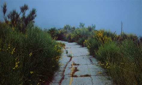 A Mere Versifier Not Poetry Quatrain Verse In English And Swedish