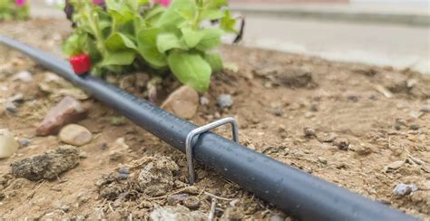 Commercial Drip Irrigation Installation The Grounds Guys